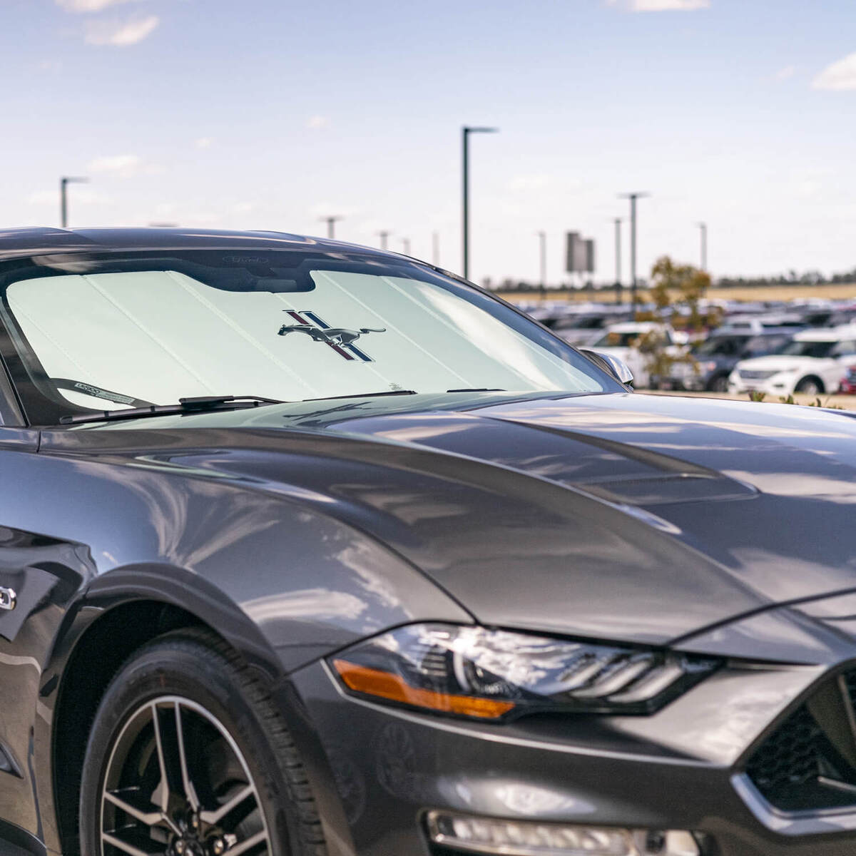 Ford Logo UVS100 Premier Custom Sunscreen